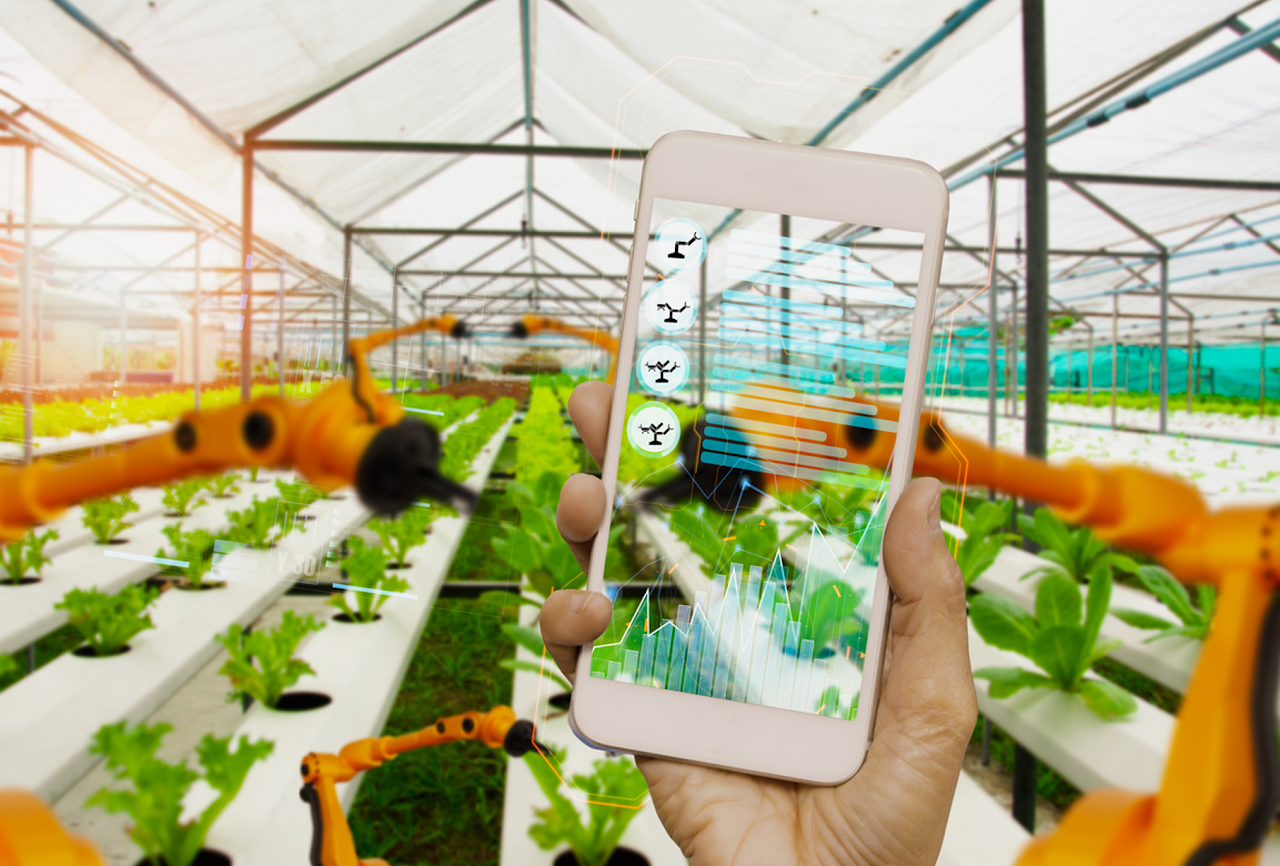 Productivity Grant - Certified & Established Digital Marketing Agency ...